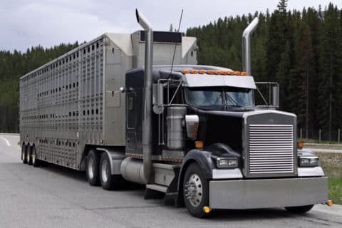 About - SKIDDD Wheel Indicators